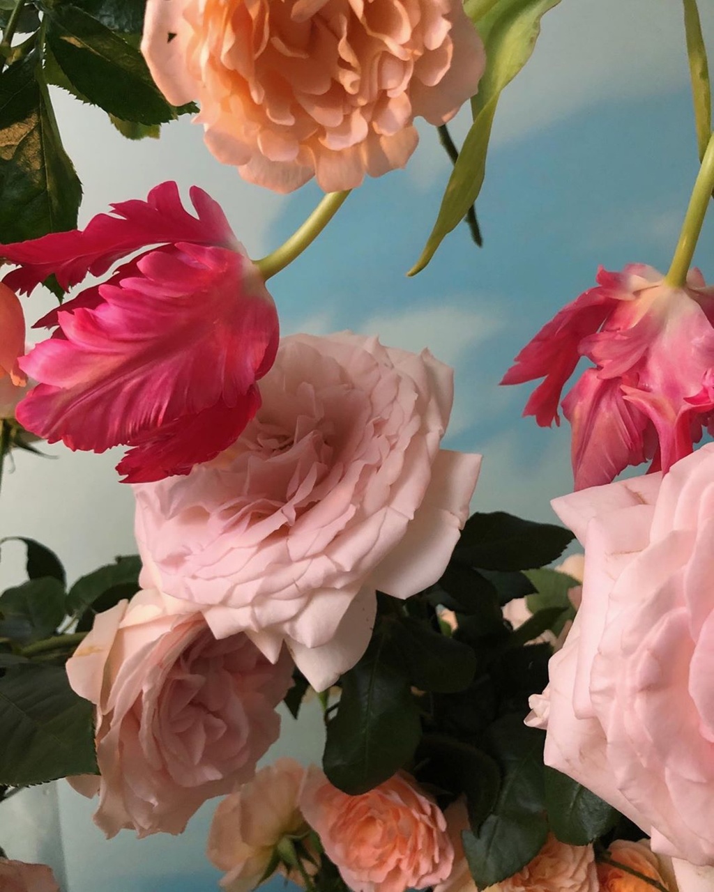 Doan Ly — 37.2 Paris