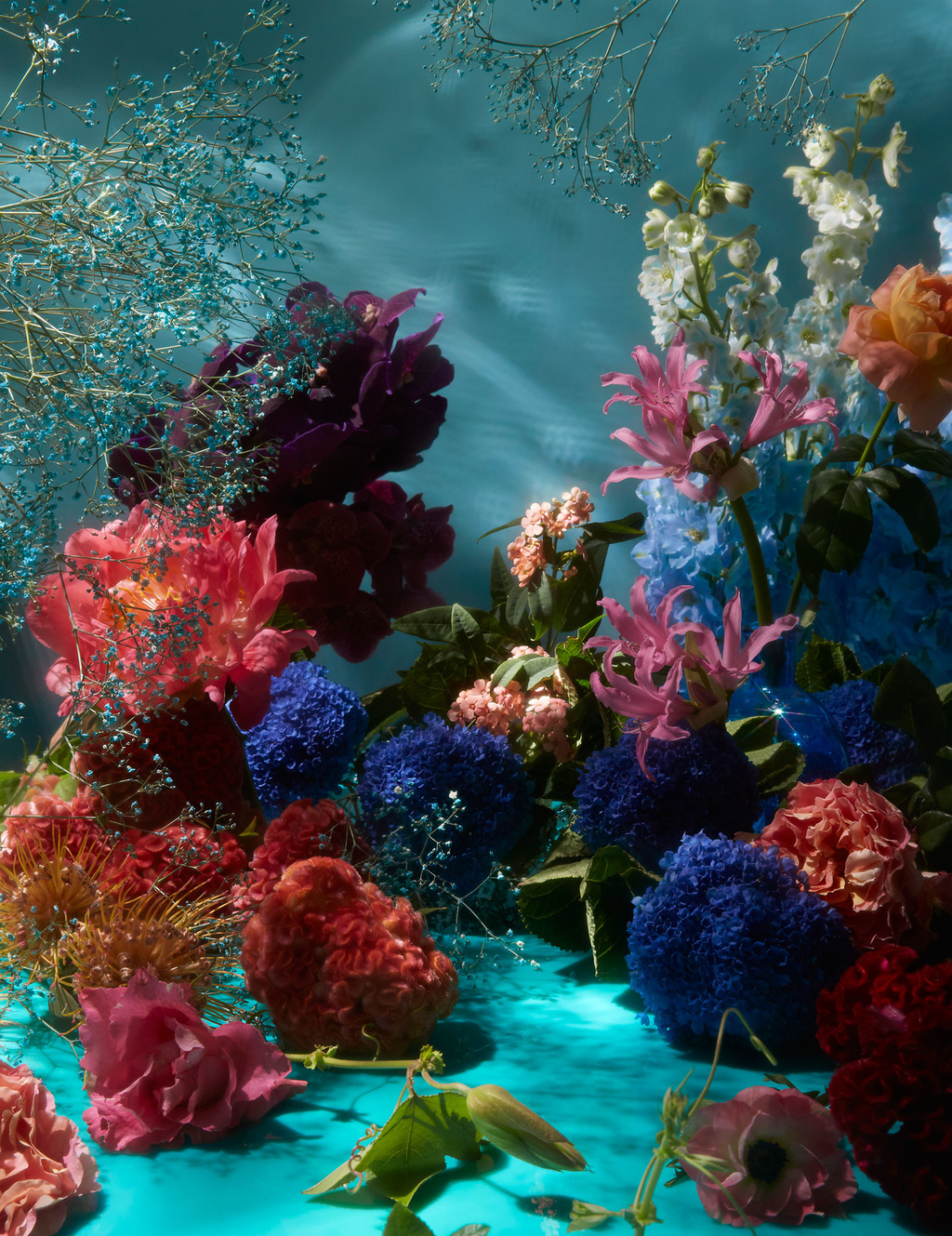 Doan Ly — 37.2 Paris