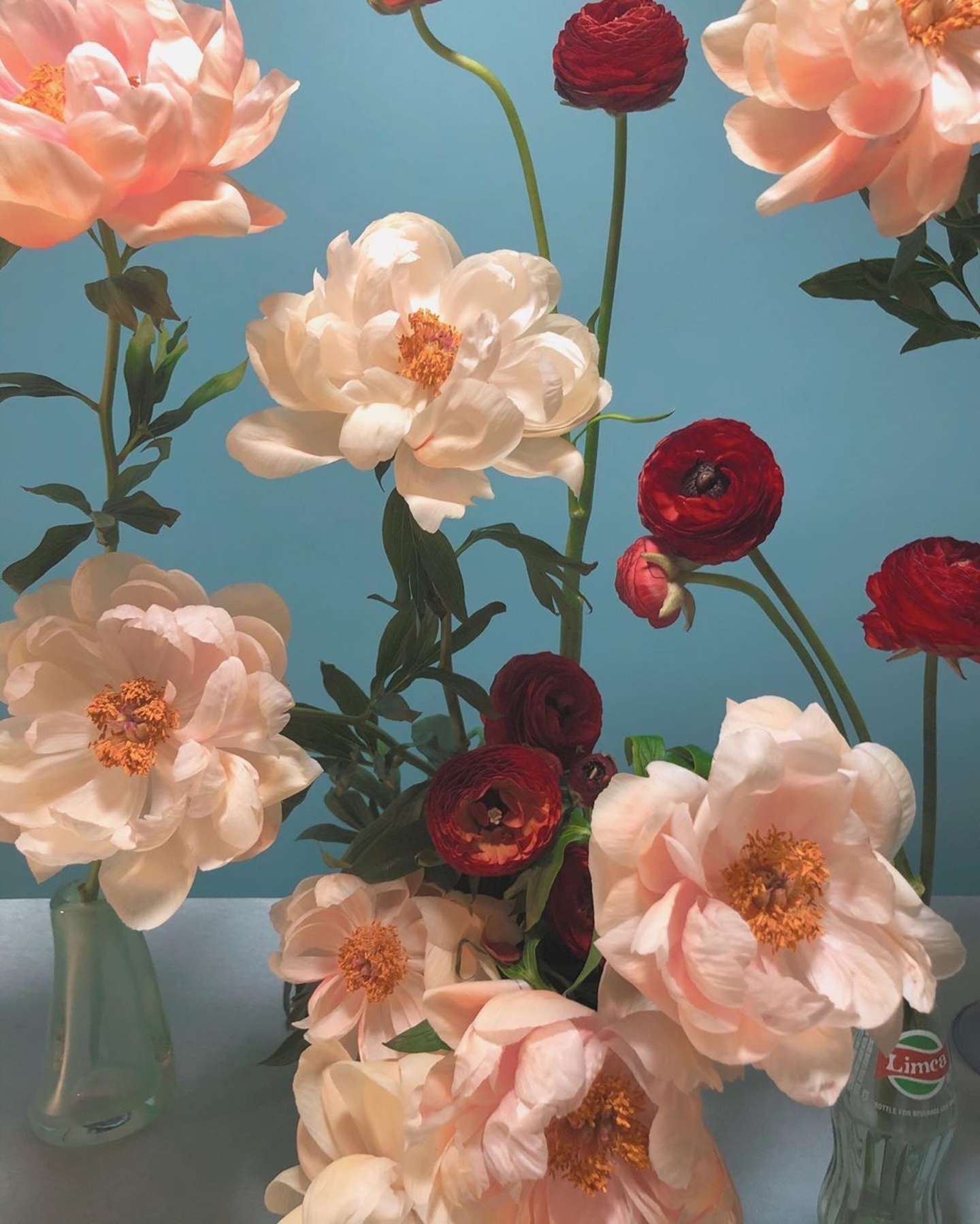 Doan Ly — 37.2 Paris