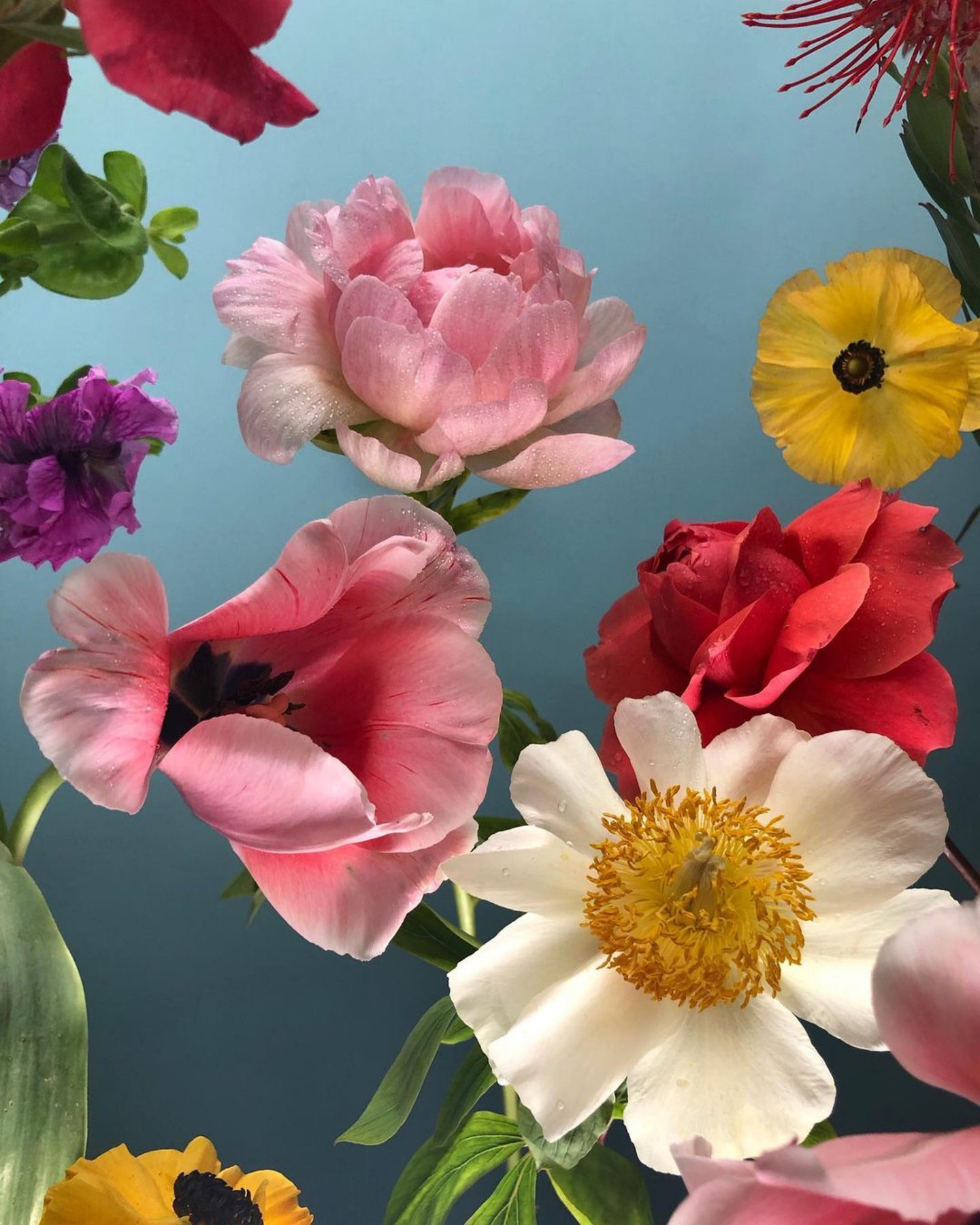 37.2 Paris - Doan Ly