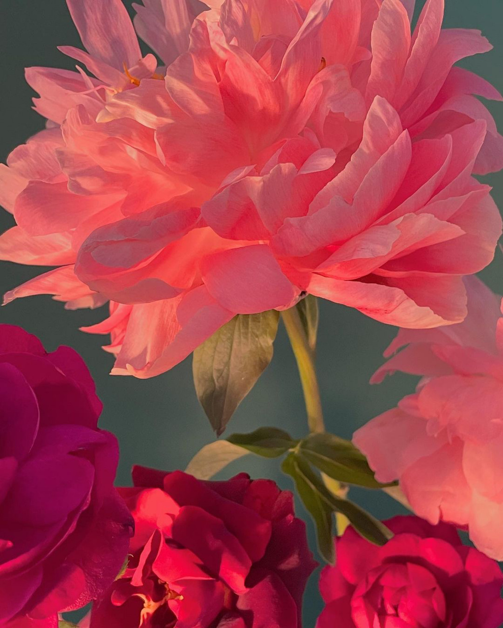 Doan Ly — 37.2 Paris