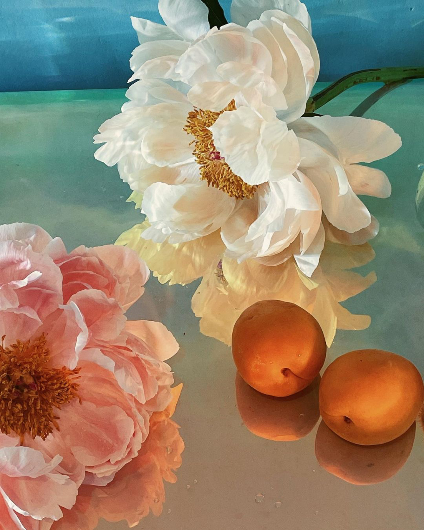 Doan Ly — 37.2 Paris