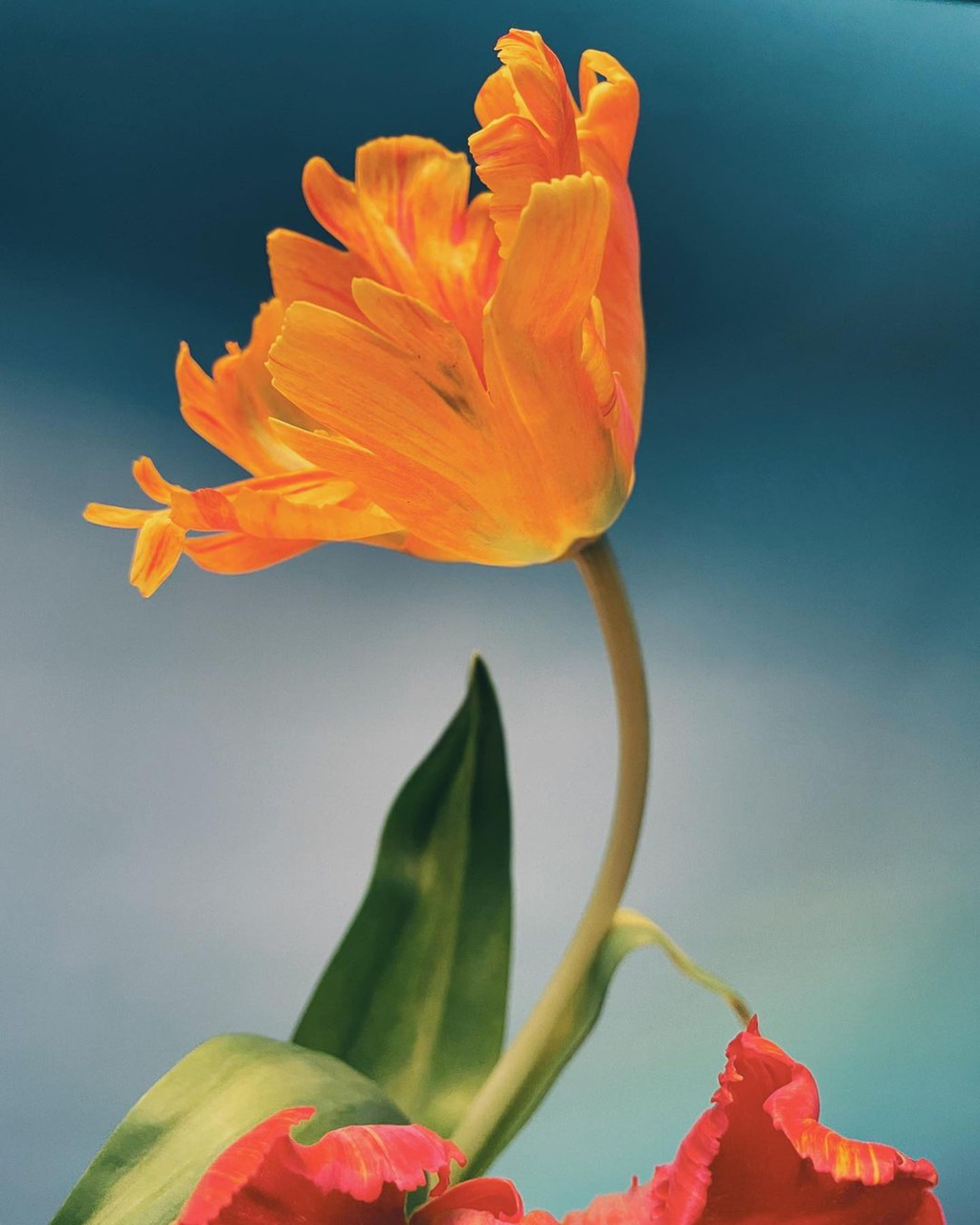 37.2 Paris - Doan Ly