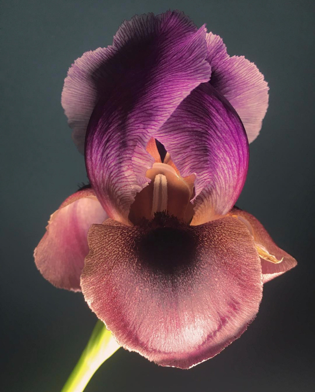 37.2 Paris - Doan Ly - Portfolio