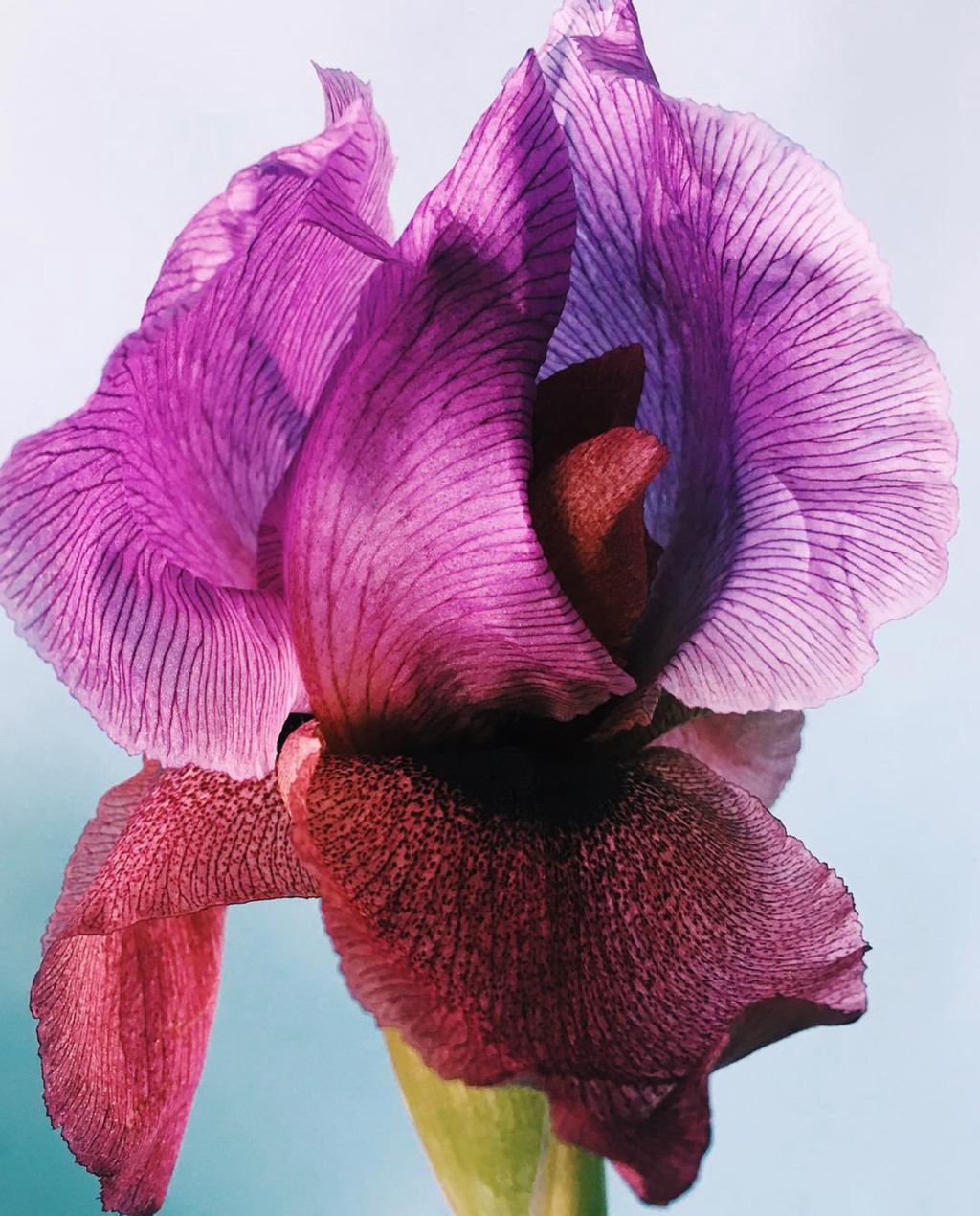 37.2 Paris - Doan Ly