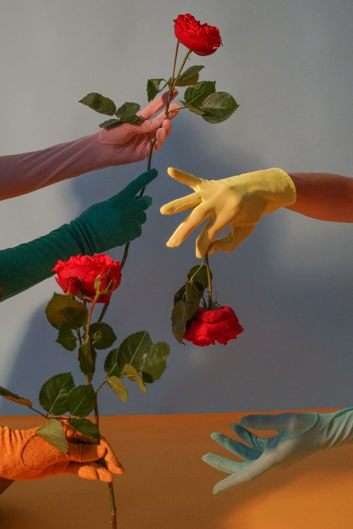 37.2 Paris - Doan Ly - Portfolio