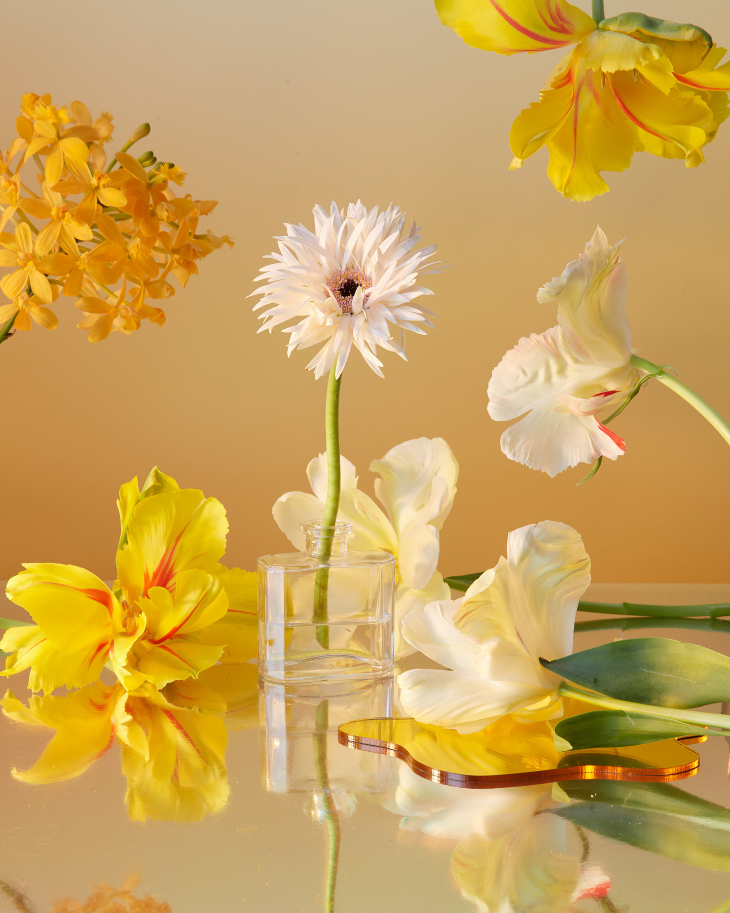 37.2 Paris - Doan Ly