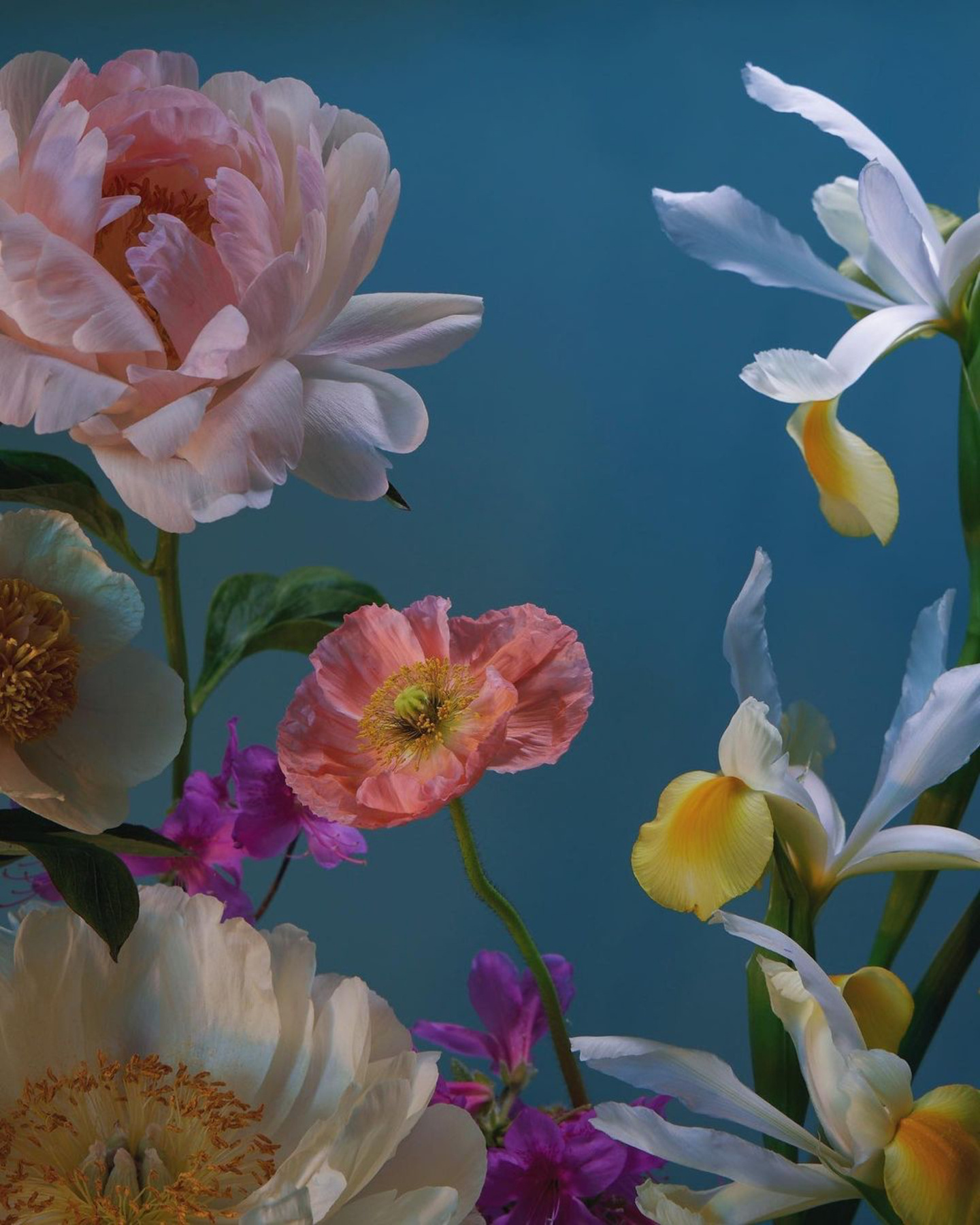 37.2 Paris - Doan Ly