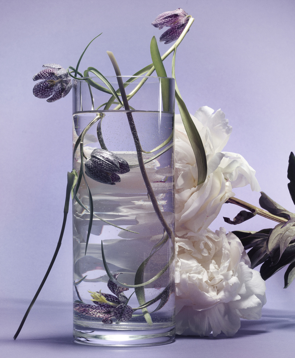 37.2 Paris - Doan Ly