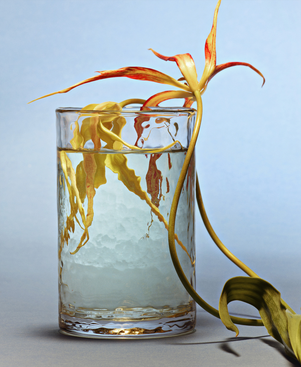 37.2 Paris - Doan Ly