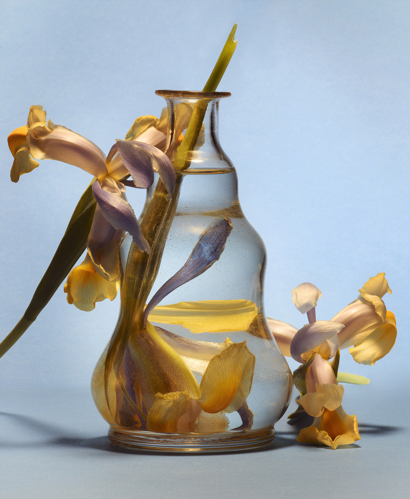 37.2 Paris - Doan Ly